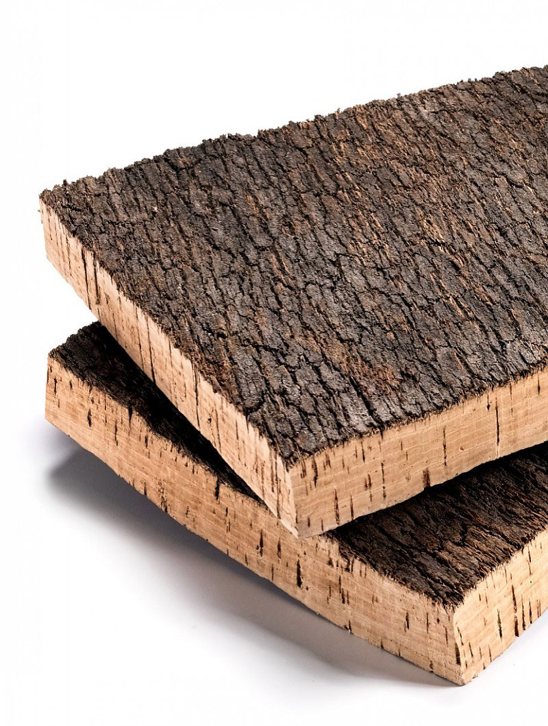 Cork Natures Regenerative Building Material | ATS Seminar